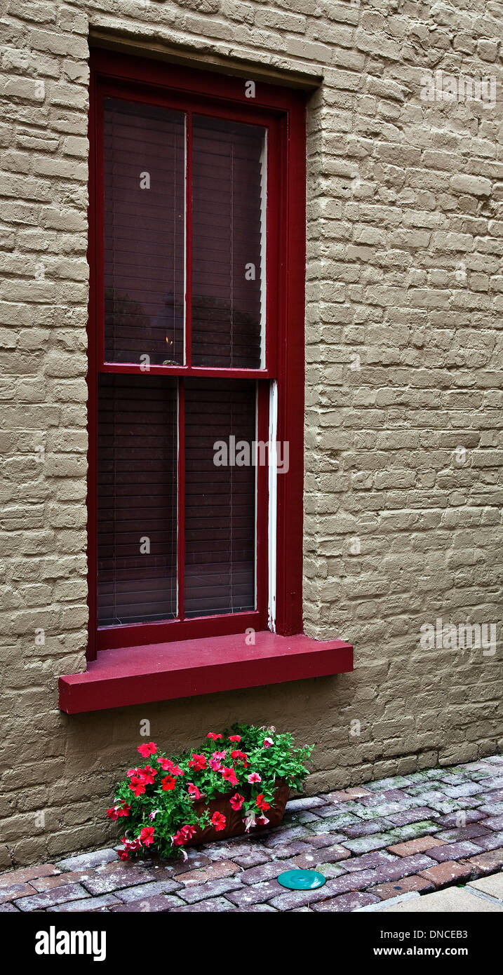Red window with flowers in brick wall in Charleston, SC Stock Photo - Alamy