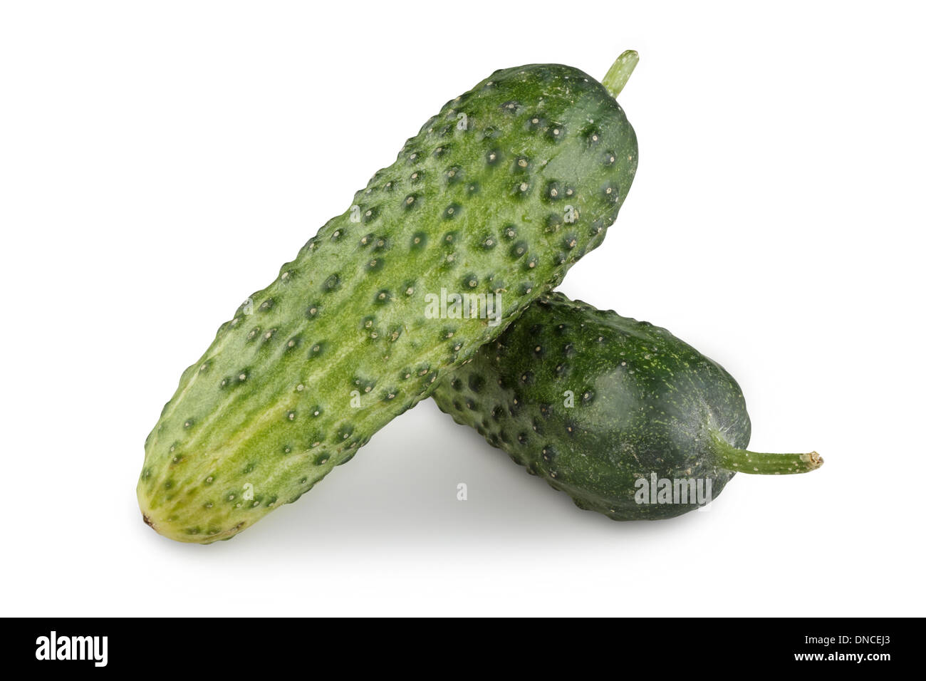 Two whole cucumbers on white background Stock Photo - Alamy