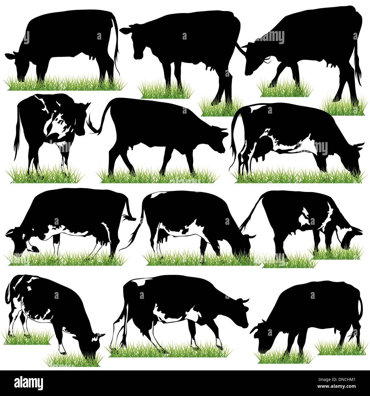 Detailed cow and calf drawing hi-res stock photography and images - Alamy