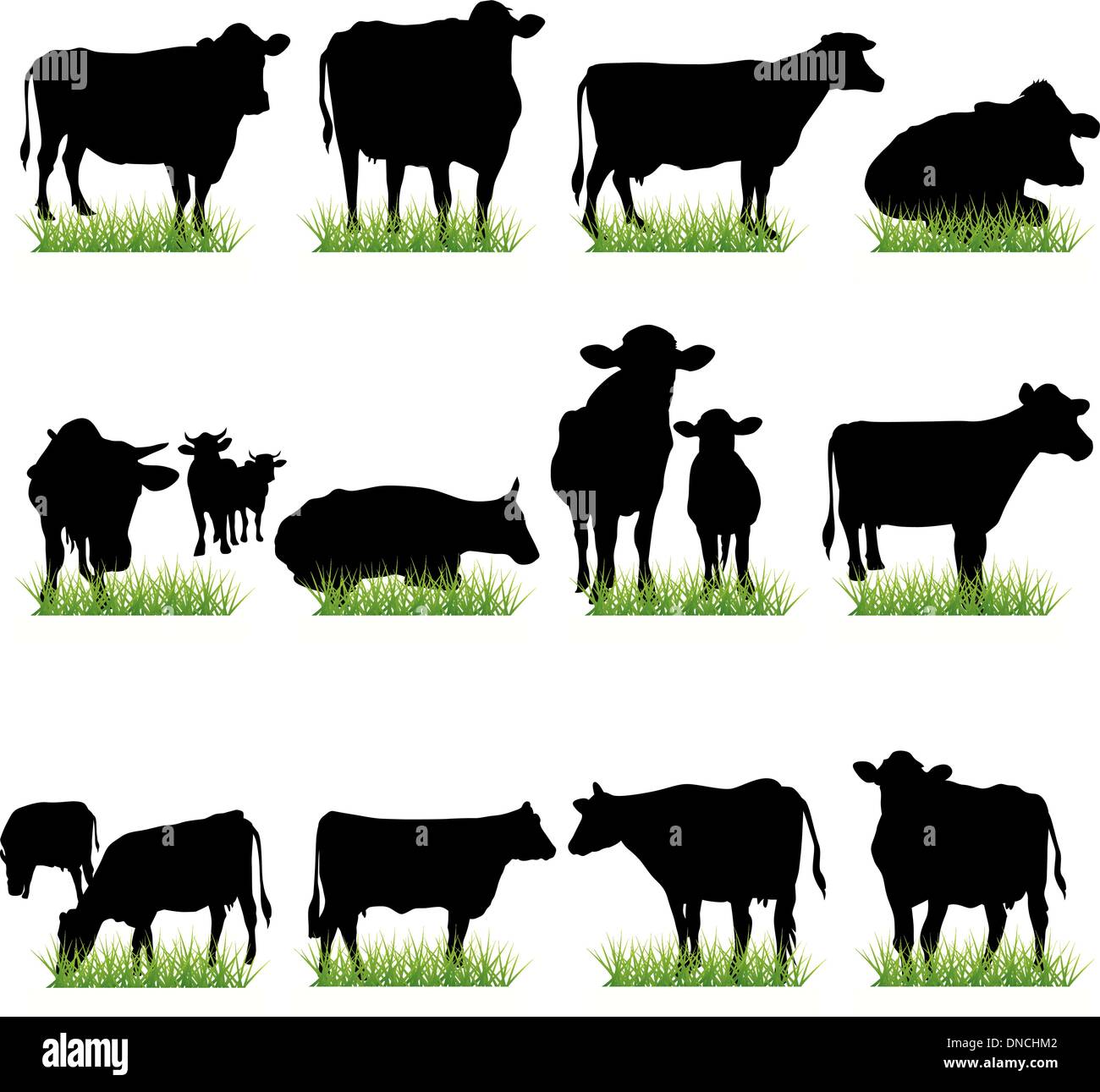 Detailed cow and calf drawing Stock Vector Images - Alamy