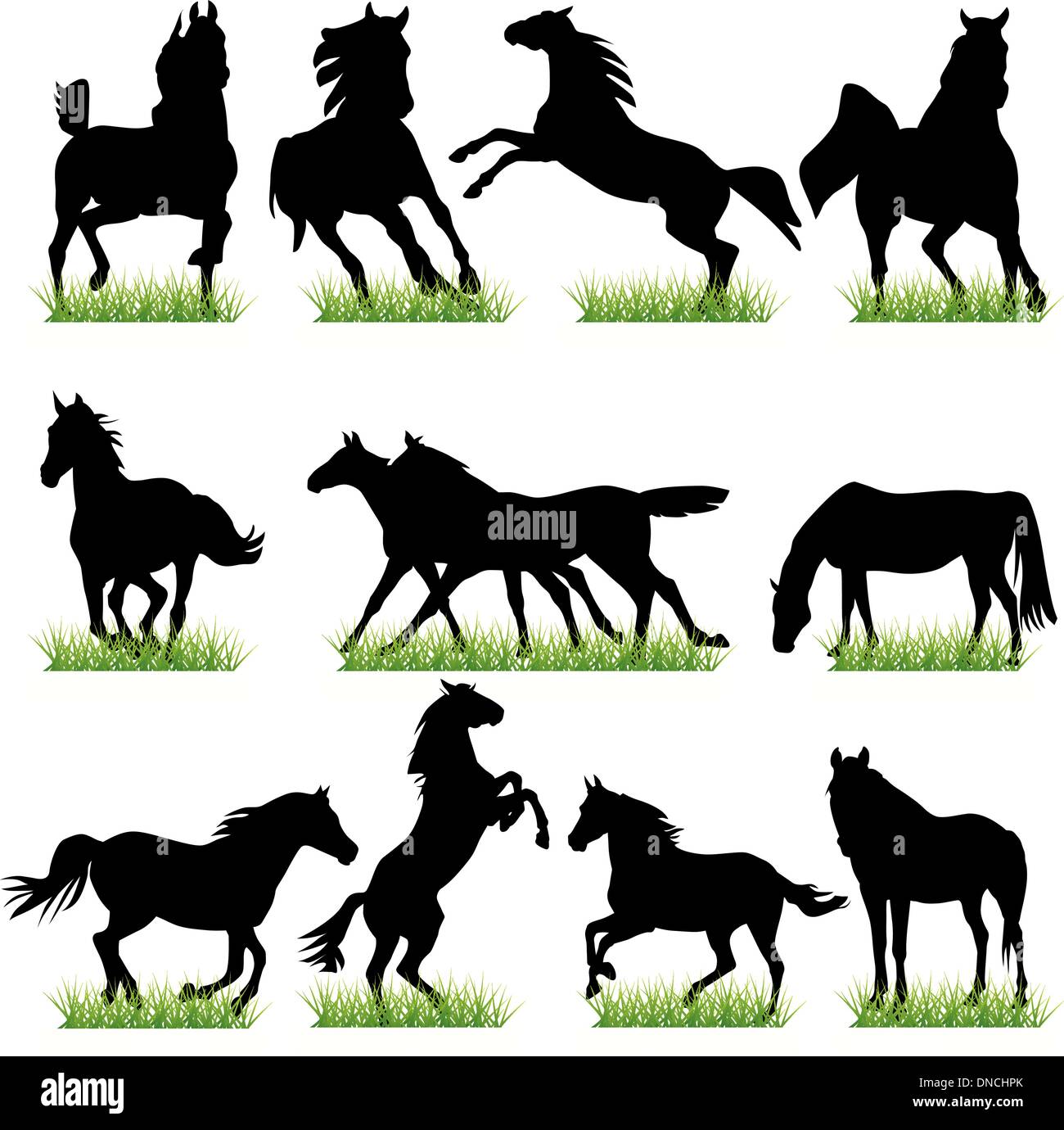 Horses Silhouettes Set Stock Vector Image & Art - Alamy