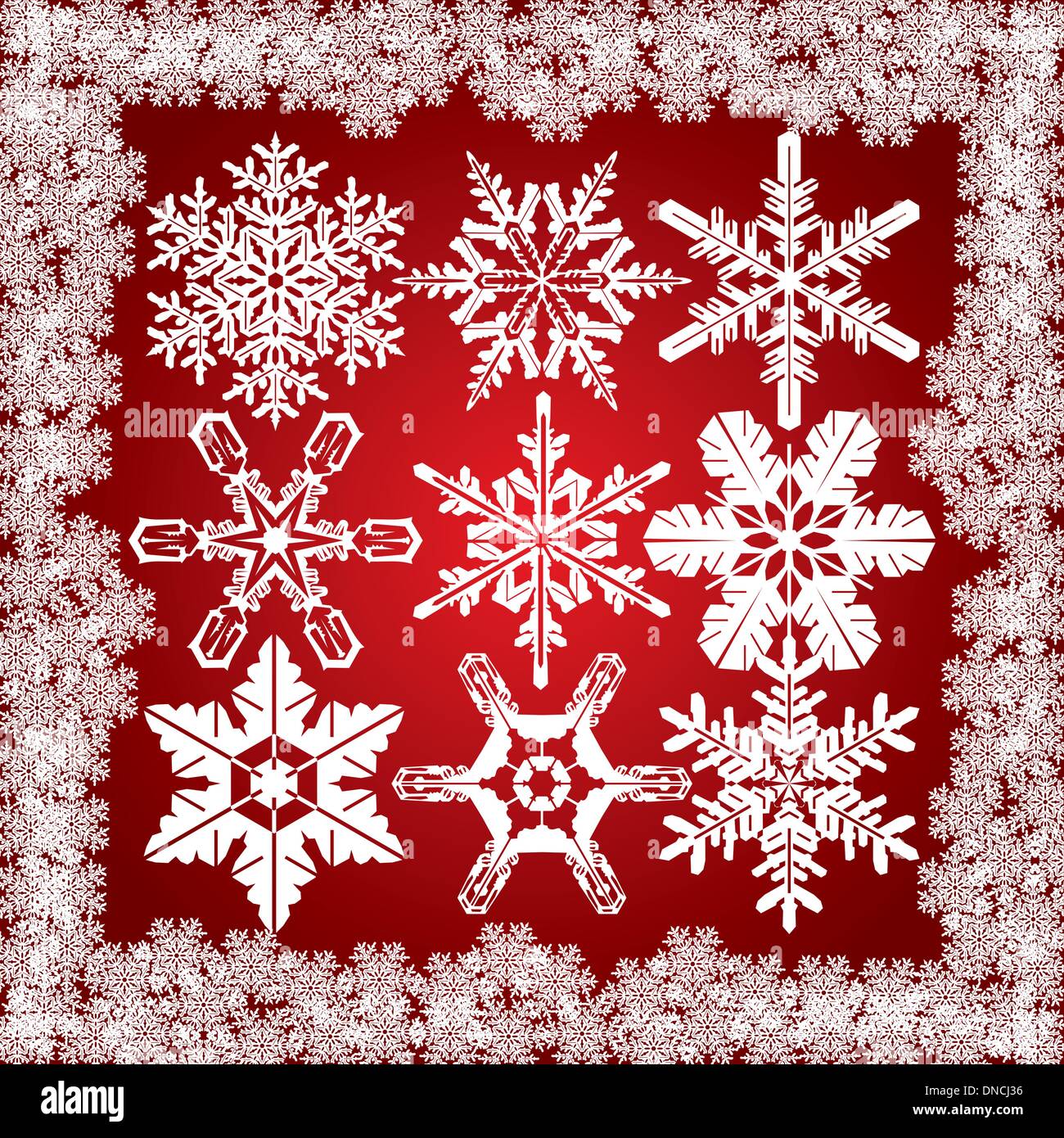 9 Detailed Snowflakes Set Stock Vector Image & Art - Alamy