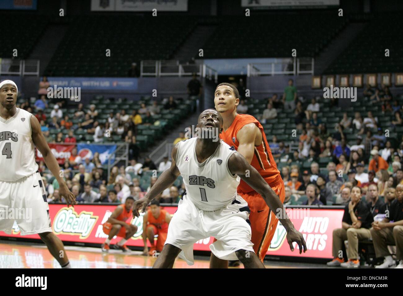 Live action tree hi-res stock photography and images - Alamy