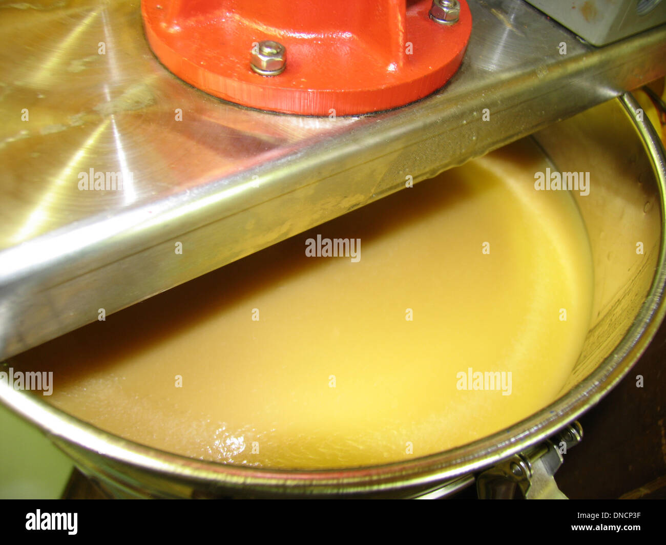 When the foam ist removed the honey is filled into the pail of the ...