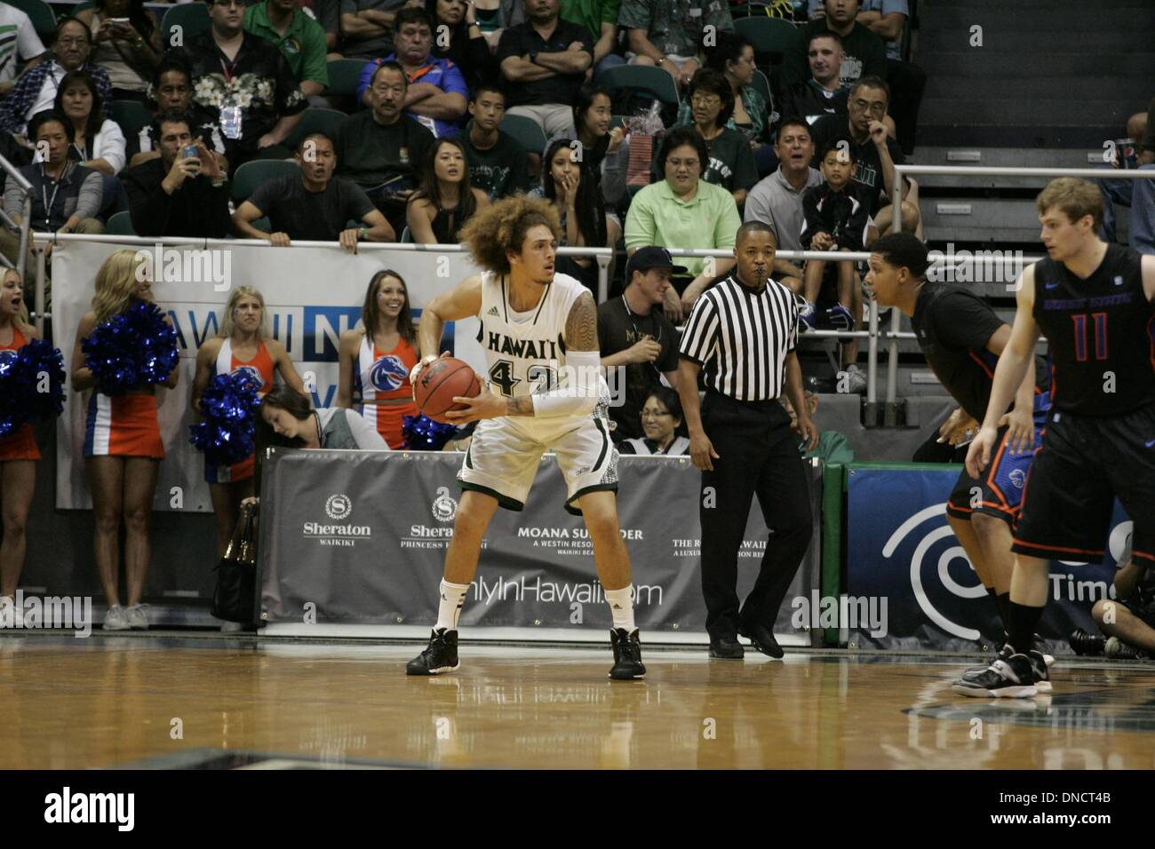 Honolulu, HI, USA. 22nd Dec, 2013. Hawaii Rainbow Warriors forward ...