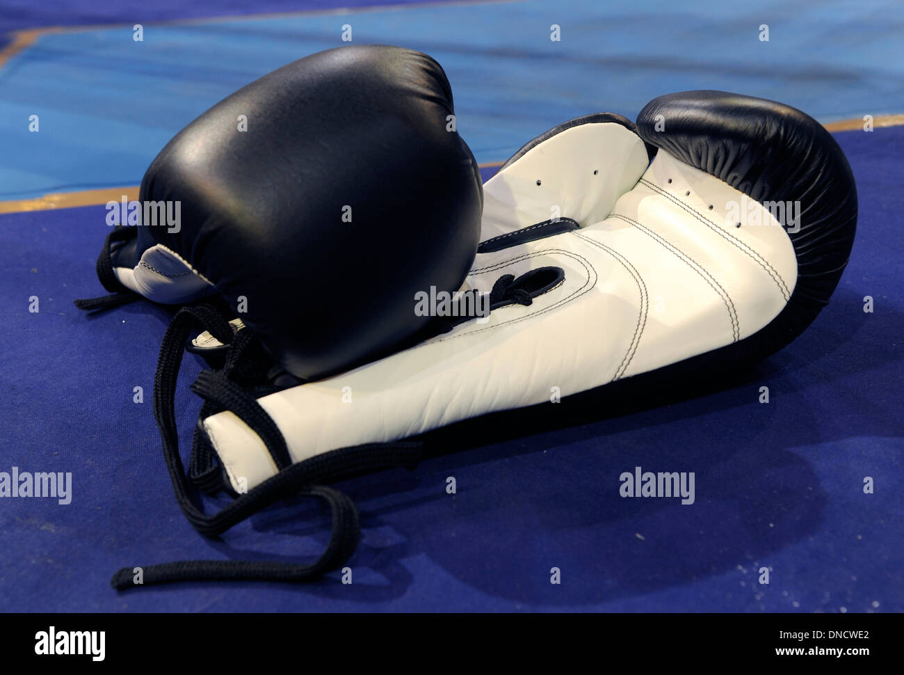 WBO 2013 (World Boxing Organisation) in Le Cannet (South-eastern France ...