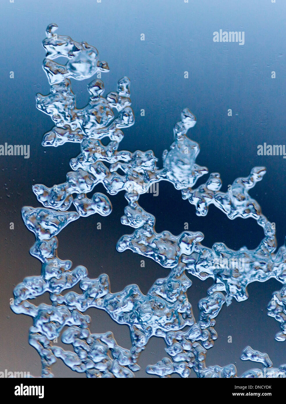 Melting Snowflakes On The Window Stock Photo - Alamy
