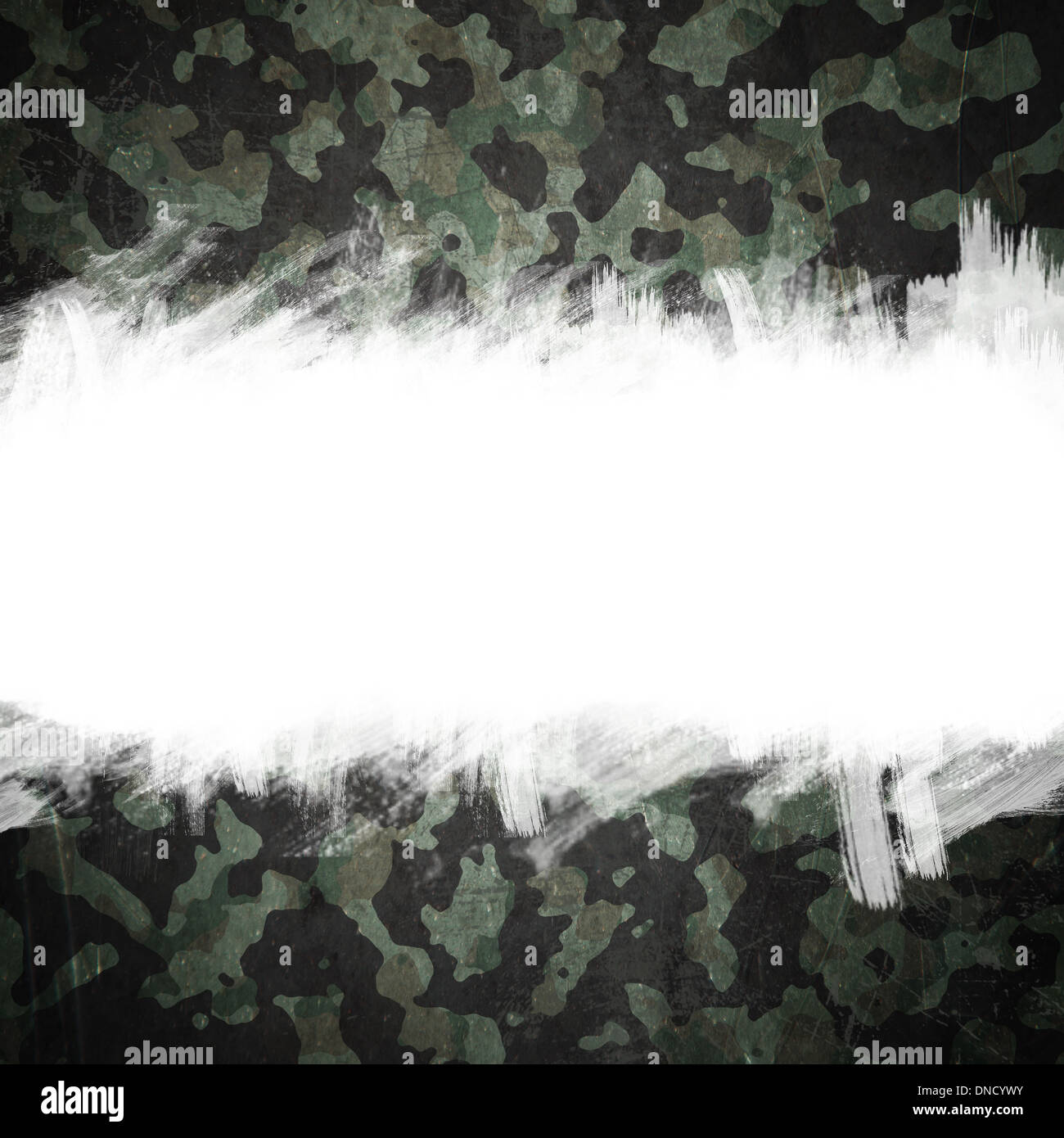Grunge military camouflage background with space for your text Stock ...