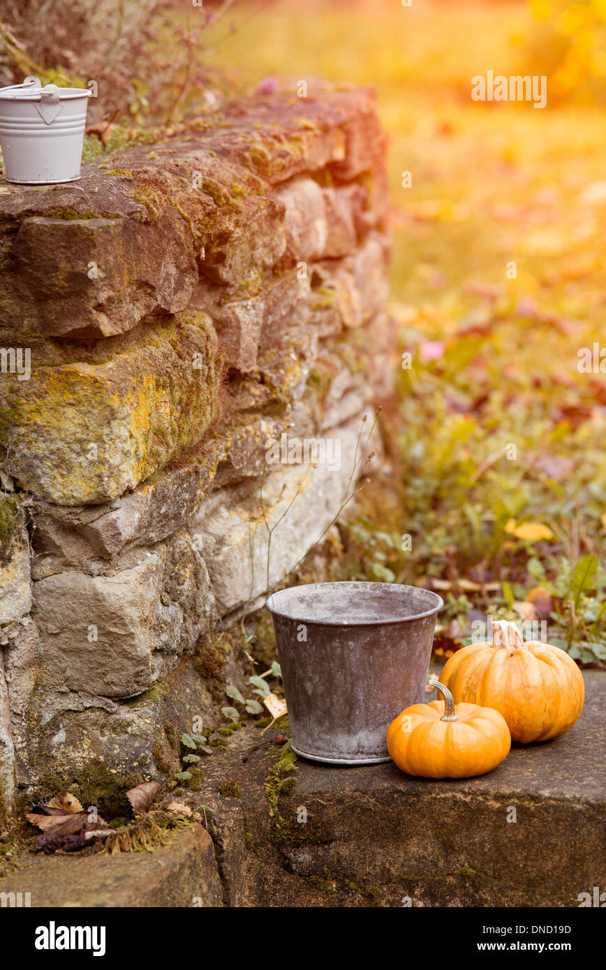 Two pumpkins and buckets in a back yard with dreamy warm toning Stock ...