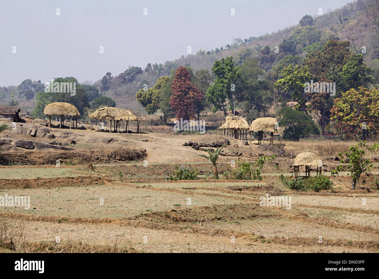 Tribal house orissa india hi-res stock photography and images - Alamy