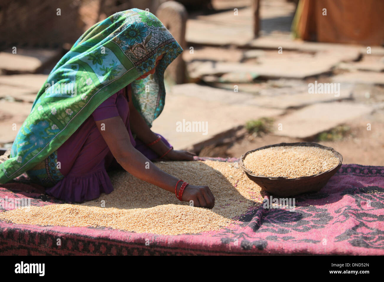 Bhil woman sorting grains, Bhil tribe, Madhya Pradesh, India Stock ...