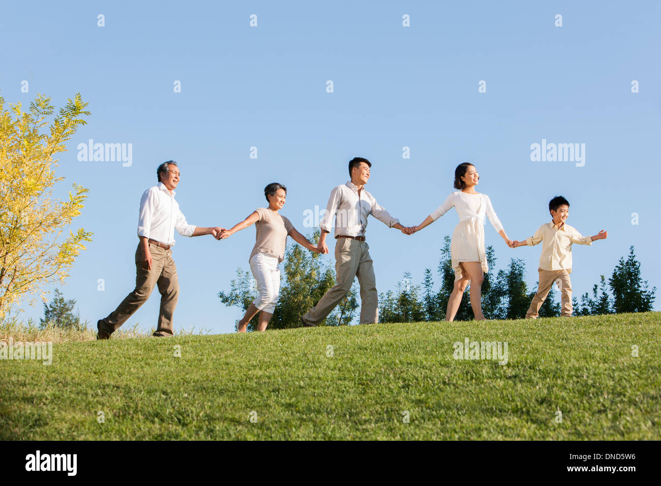 Big family holding hands one after another in a park Stock Photo - Alamy
