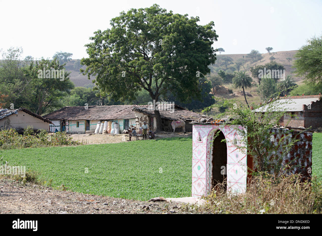 Tribal village settlement. Bhil tribe, Zabua district, Madhya Pradesh ...