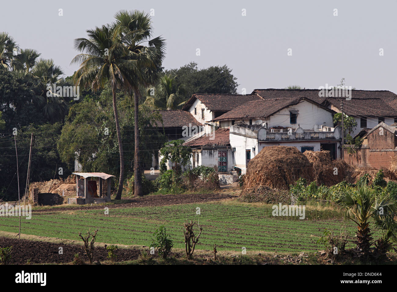 Bhil Hut Bhil Tribe Pradesh High Resolution Stock Photography and ...