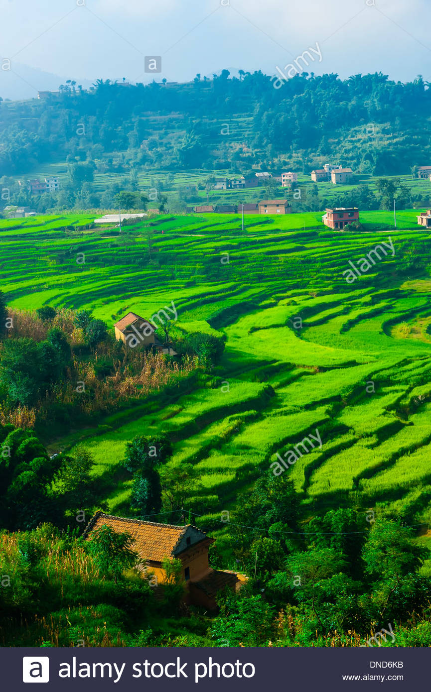 Nepal Agriculture High Resolution Stock Photography and Images - Alamy