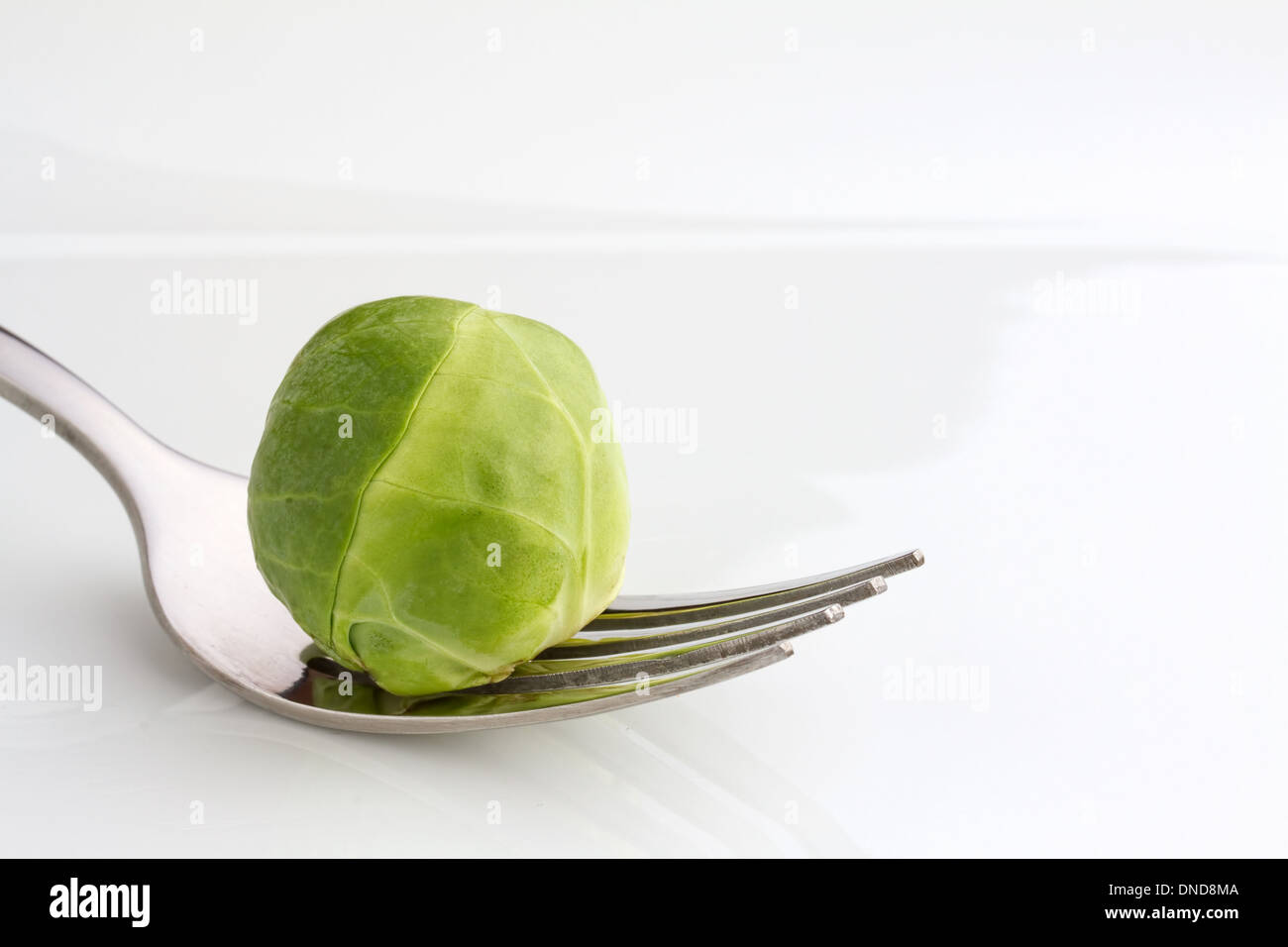 Sprout hi-res stock photography and images - Alamy