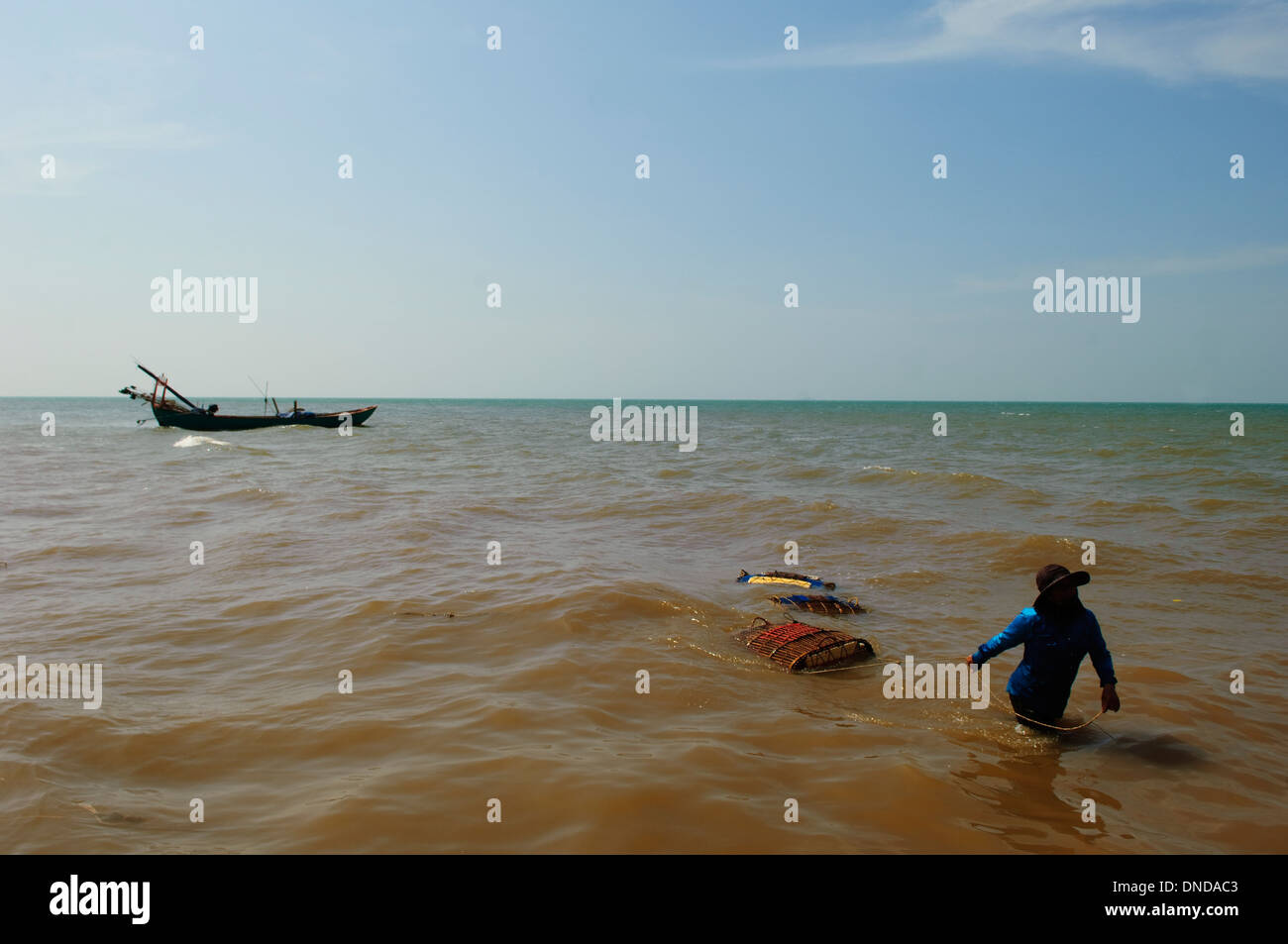a woman carrying crabs from the ocean at the crab market, kep, cambodia ...