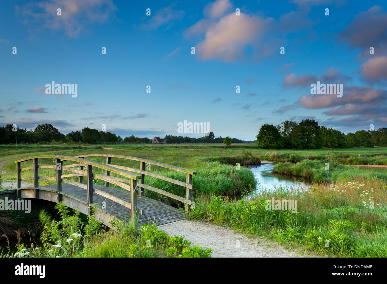 Wooden bridge over meandering water stream in green meadow landscape ...