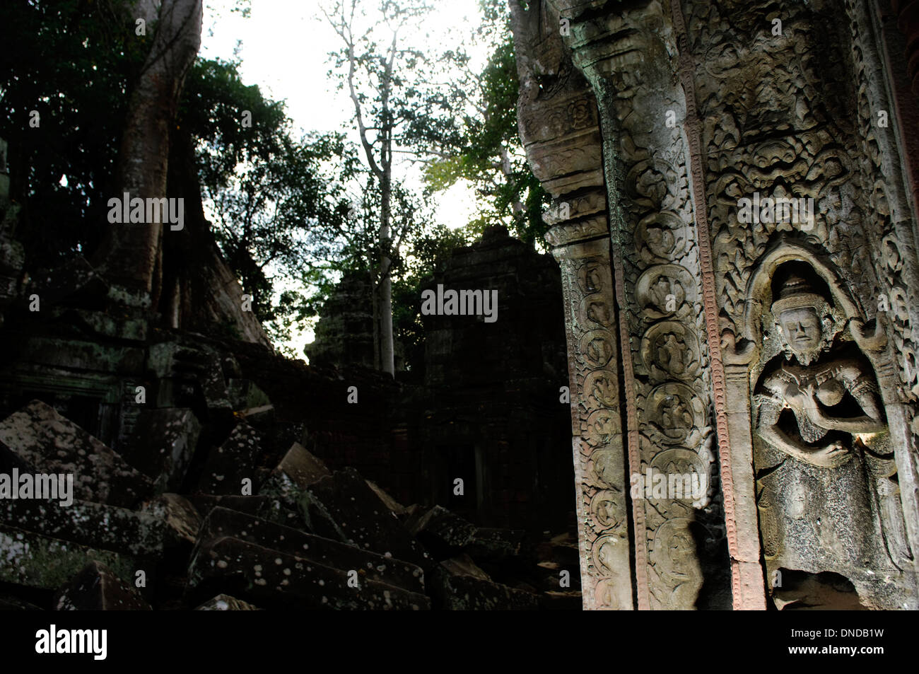 an apsara statue with ruins, ta prohm temple, angkor archaeological ...