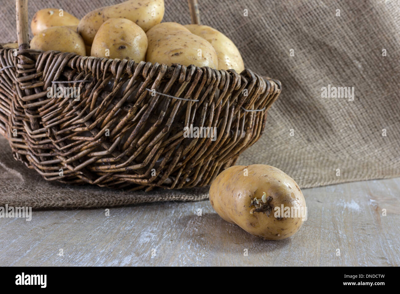 Jute field hi-res stock photography and images - Alamy