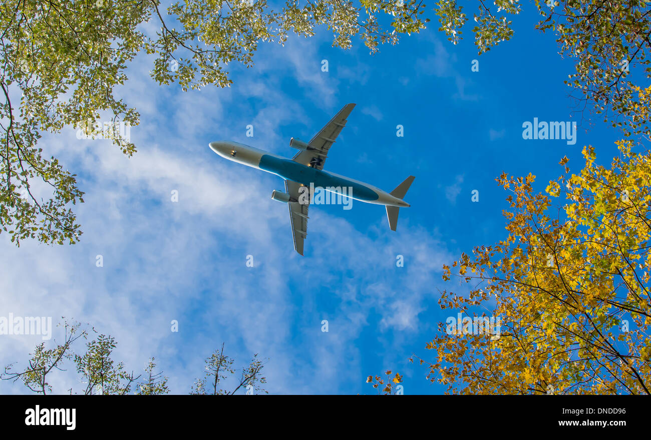 Airplane fly over forest hi-res stock photography and images - Alamy