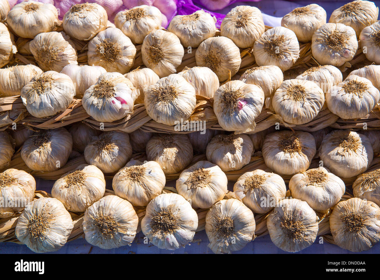 Garlic bunches stacked in a row at Spain Stock Photo - Alamy