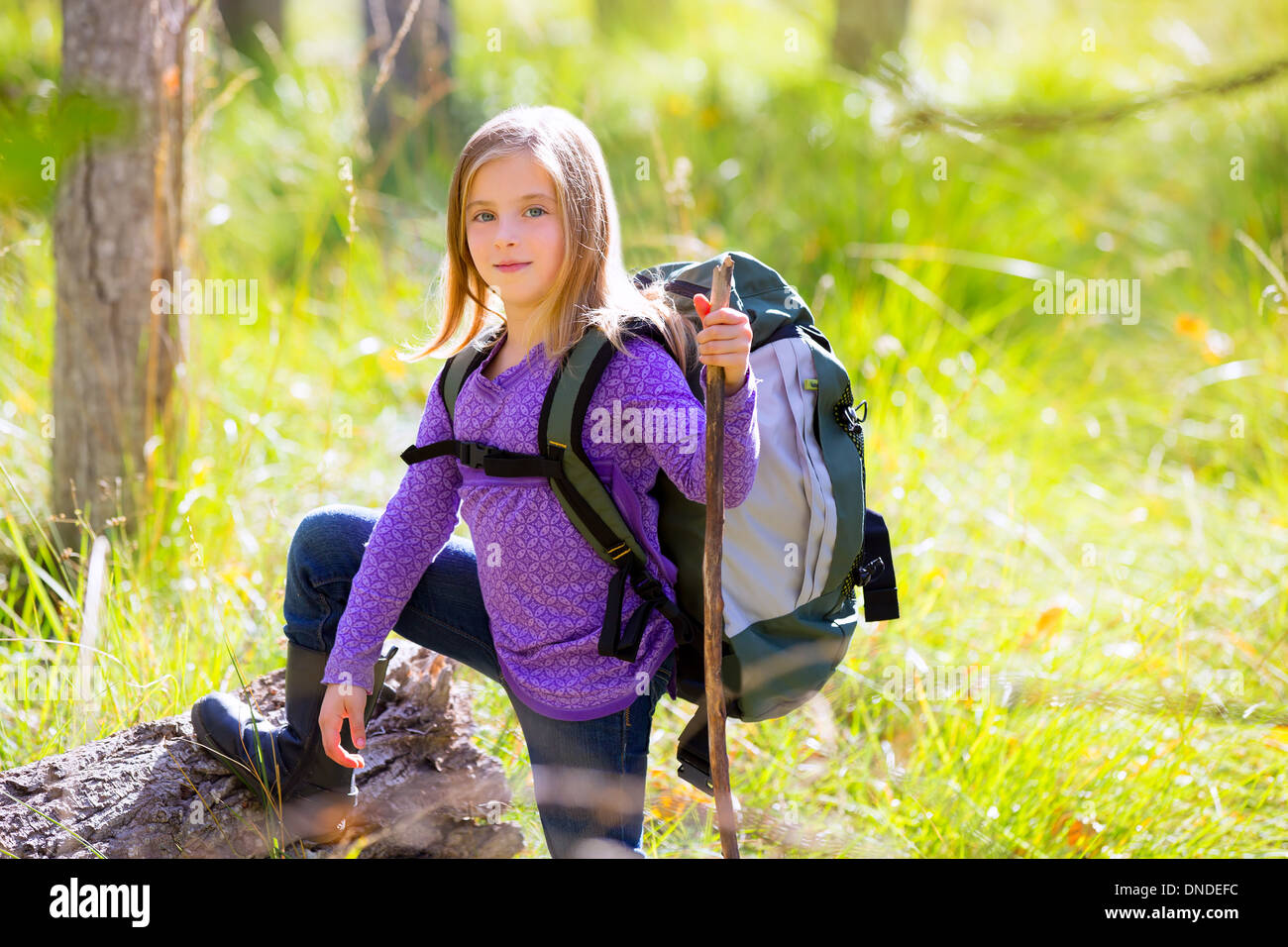 Hiking kid girl with backpack in autum poplar trees forest and walking ...