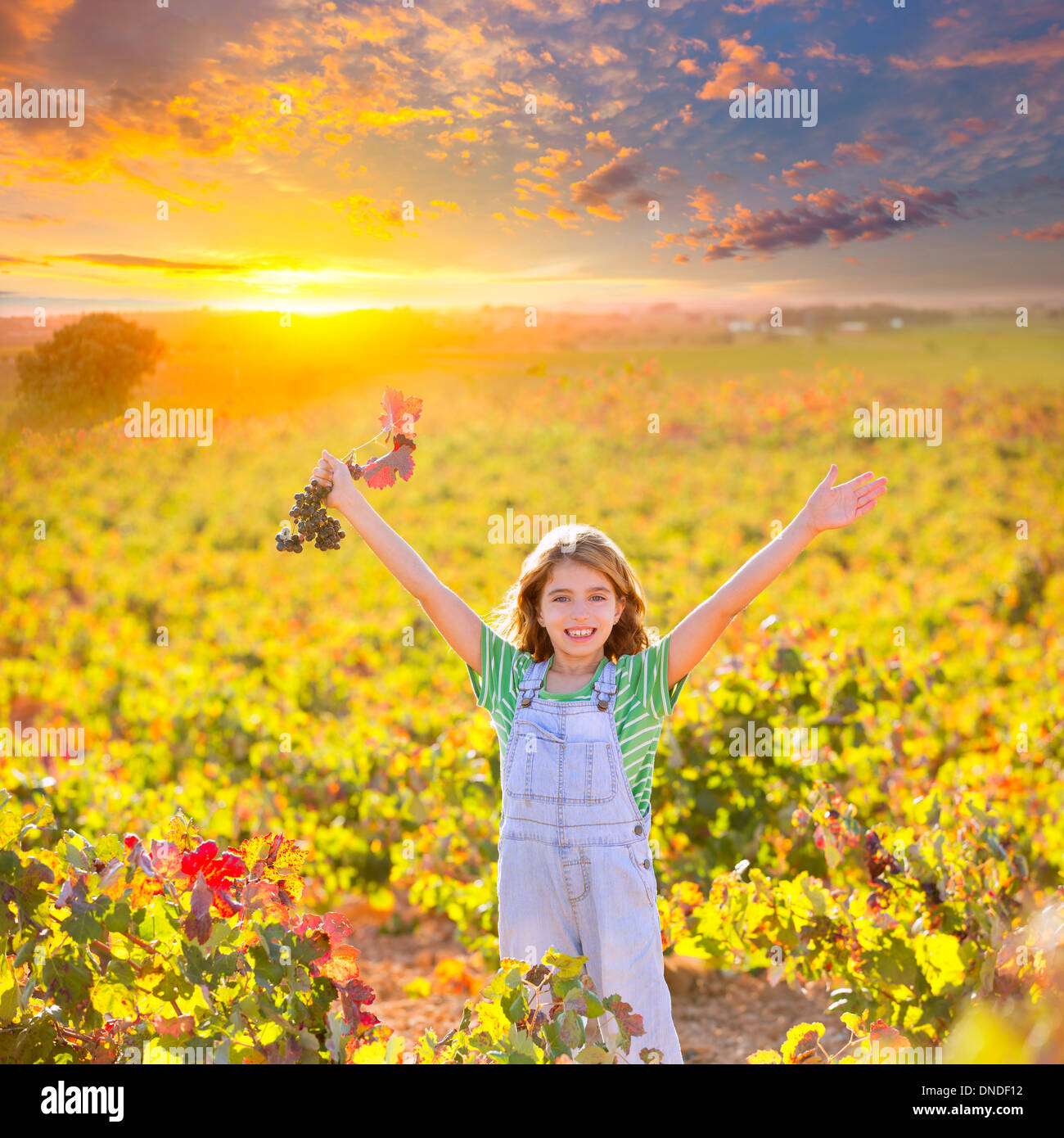 Vineyard spain children hi-res stock photography and images - Alamy
