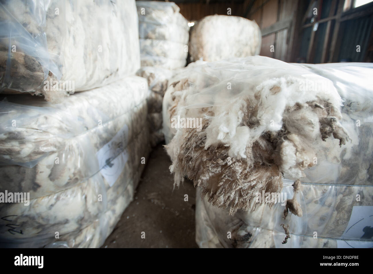Wool production, Rio Verde, Chile, south america Stock Photo - Alamy
