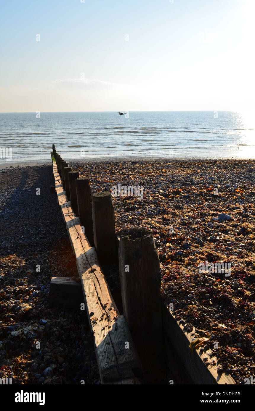 Wood breakwater hi-res stock photography and images - Alamy