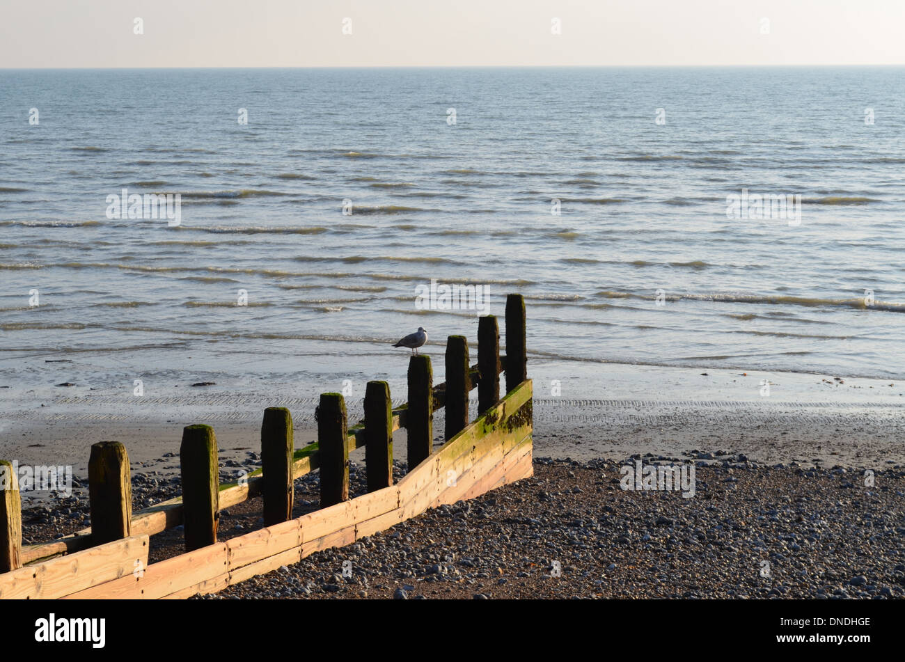 Coastal wooden breakwater along the South coast of England Stock Photo ...