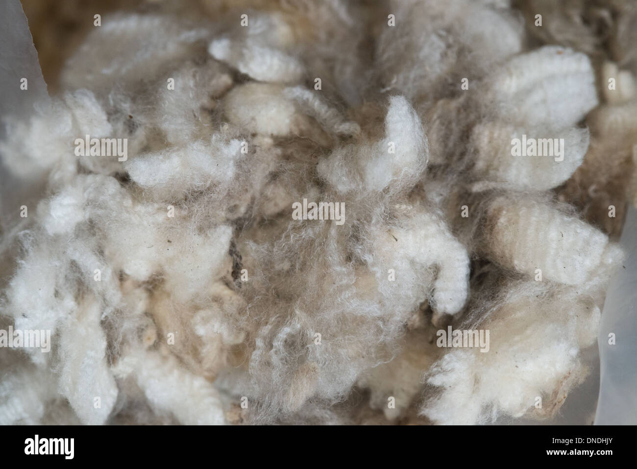 Wool production, Rio Verde, Chile, south america Stock Photo - Alamy