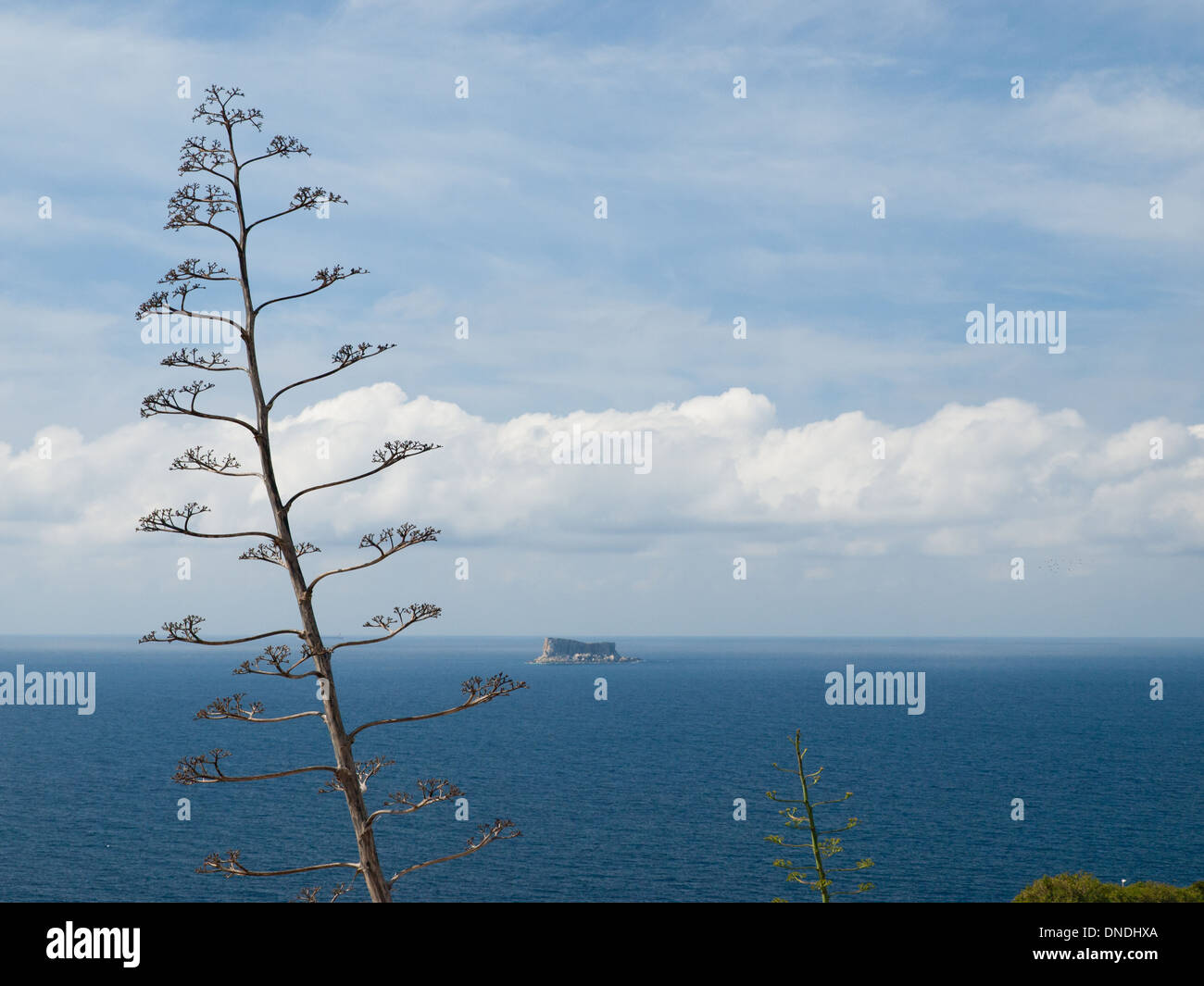 A view of the island of Filfla, off the south coast of Malta Stock ...