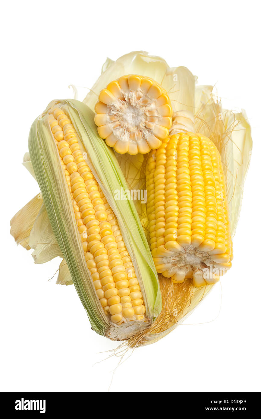 Corn isolated on white background Stock Photo - Alamy