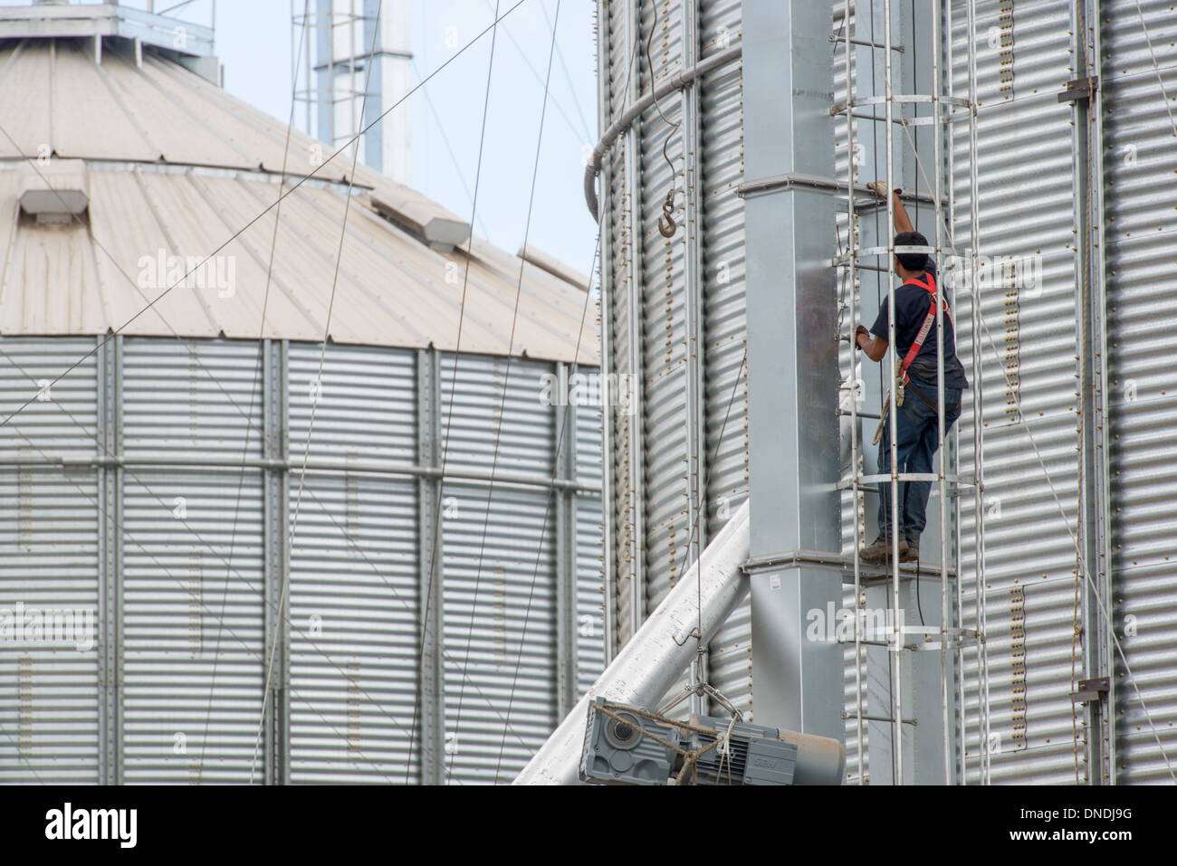 Man Climbing Silo Ladder Stock Photo - Alamy