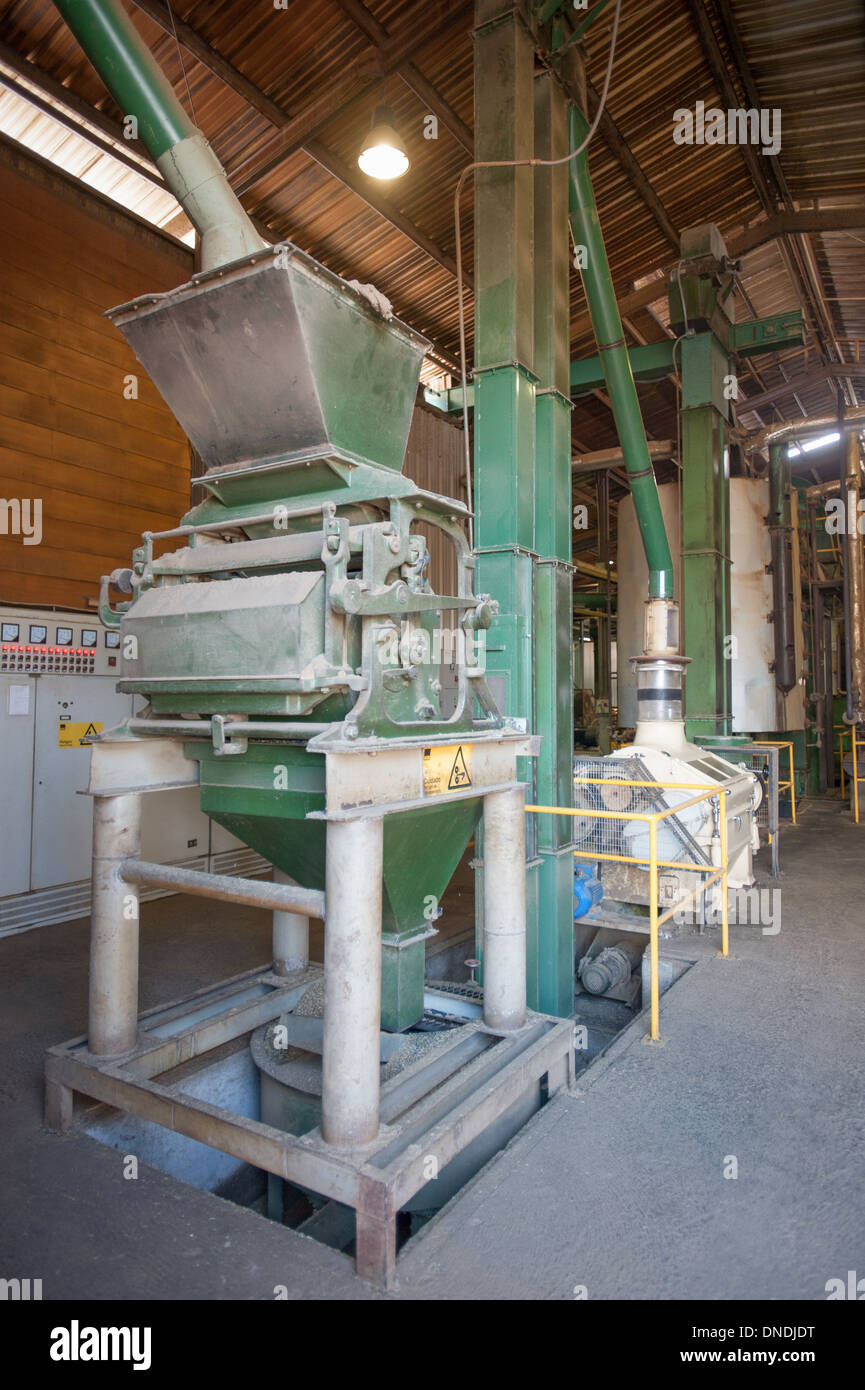 Canola oil (rapeseed) production at Molinera Gorbea, a grain processor ...