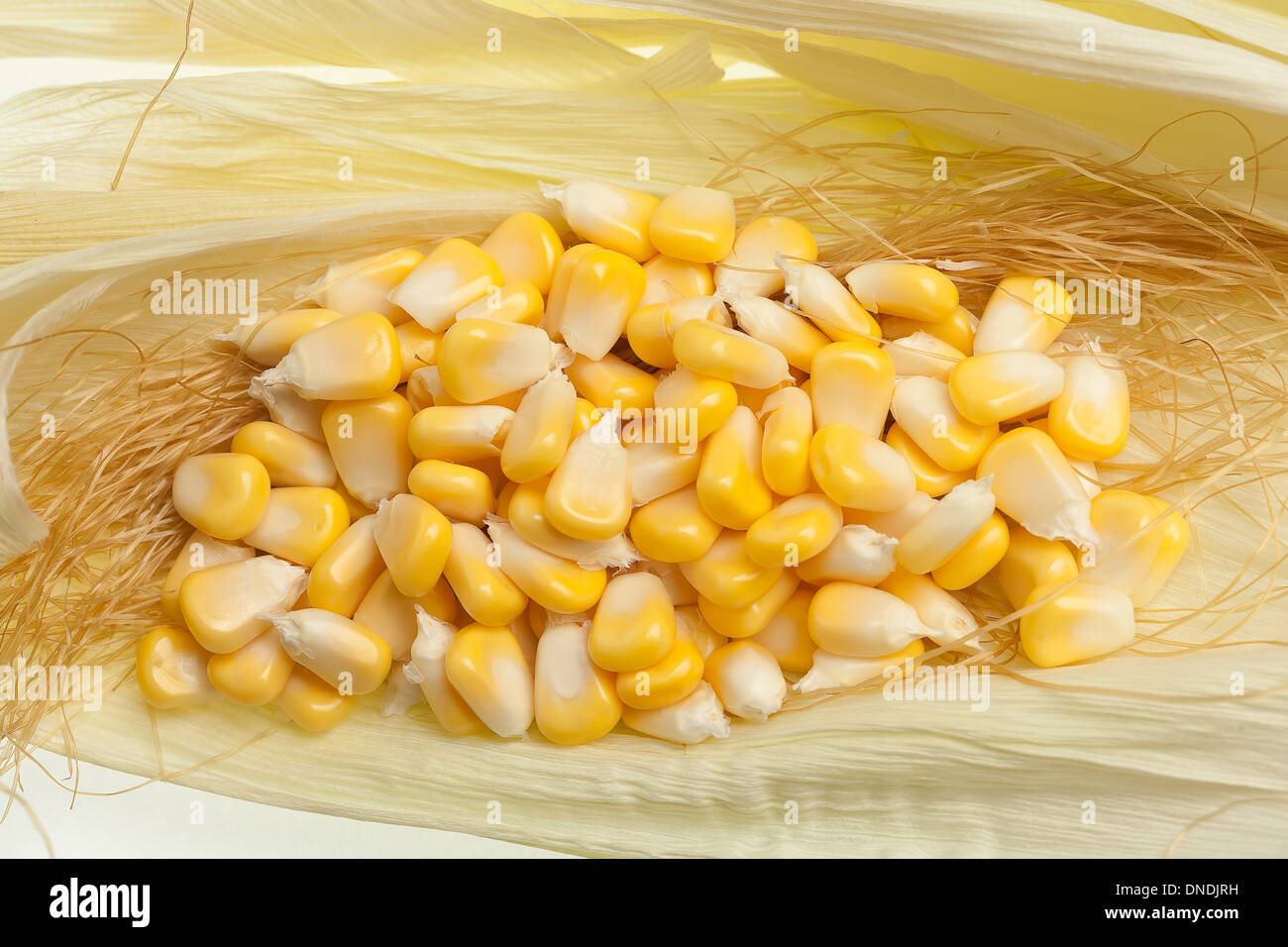 Grain of corn on silk Stock Photo - Alamy