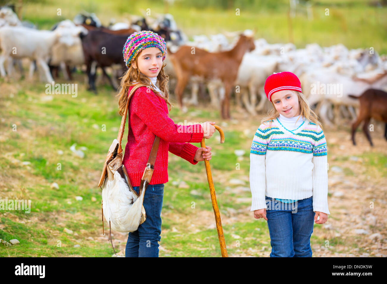 Kid girl shepherdess sisters happy with flock of sheep and wooden stick ...