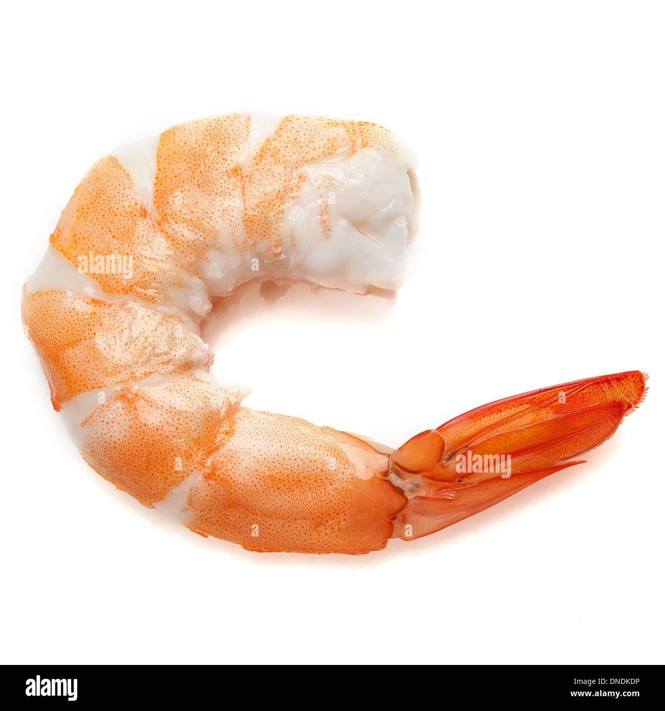 Close up shrimp isolated on white background Stock Photo - Alamy