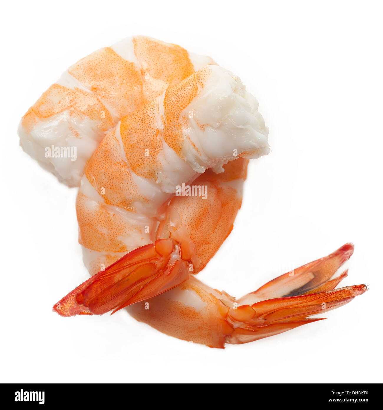 Close up shrimp isolated on white background Stock Photo - Alamy