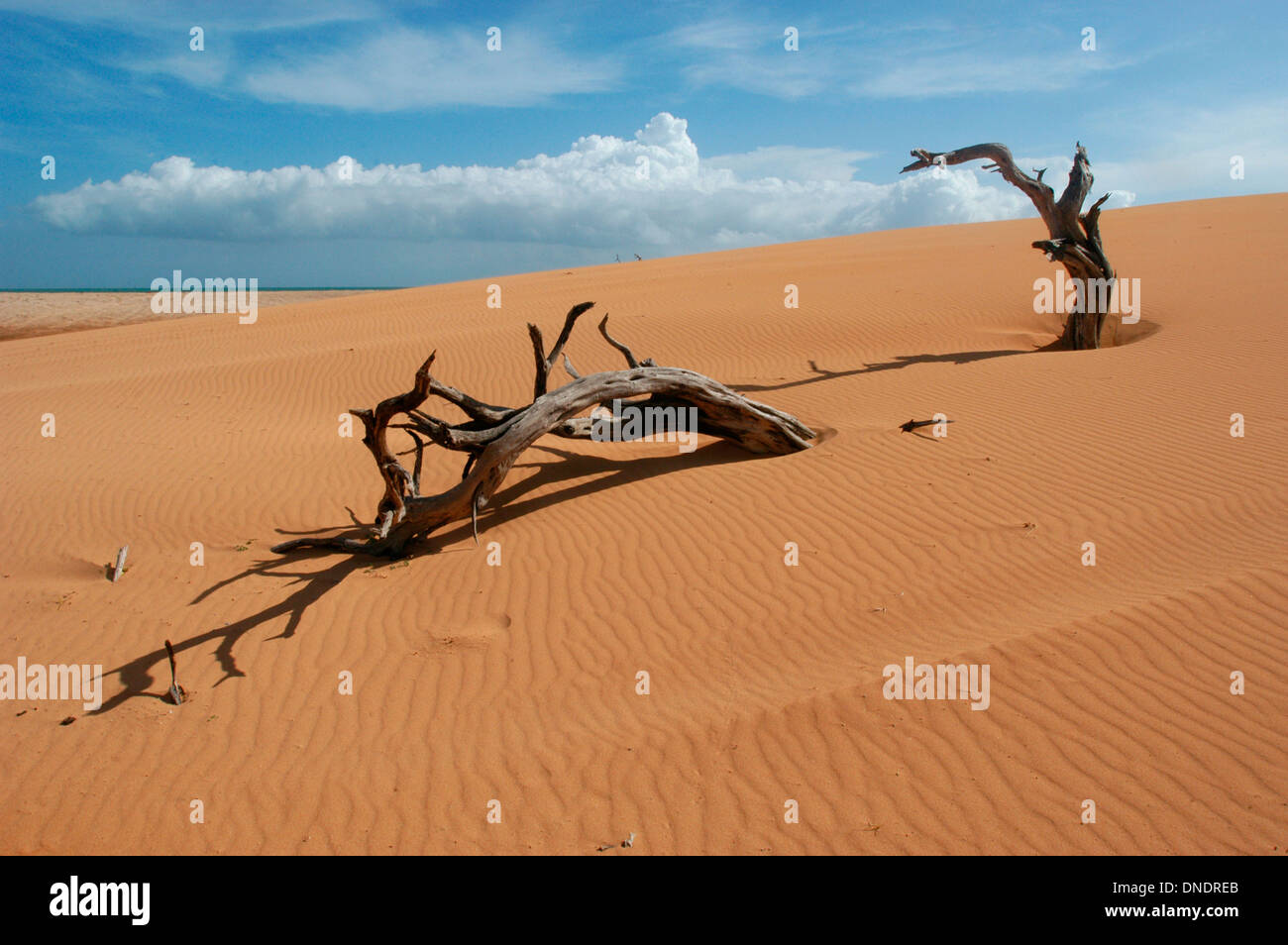 Medanos De Coro Venezuela