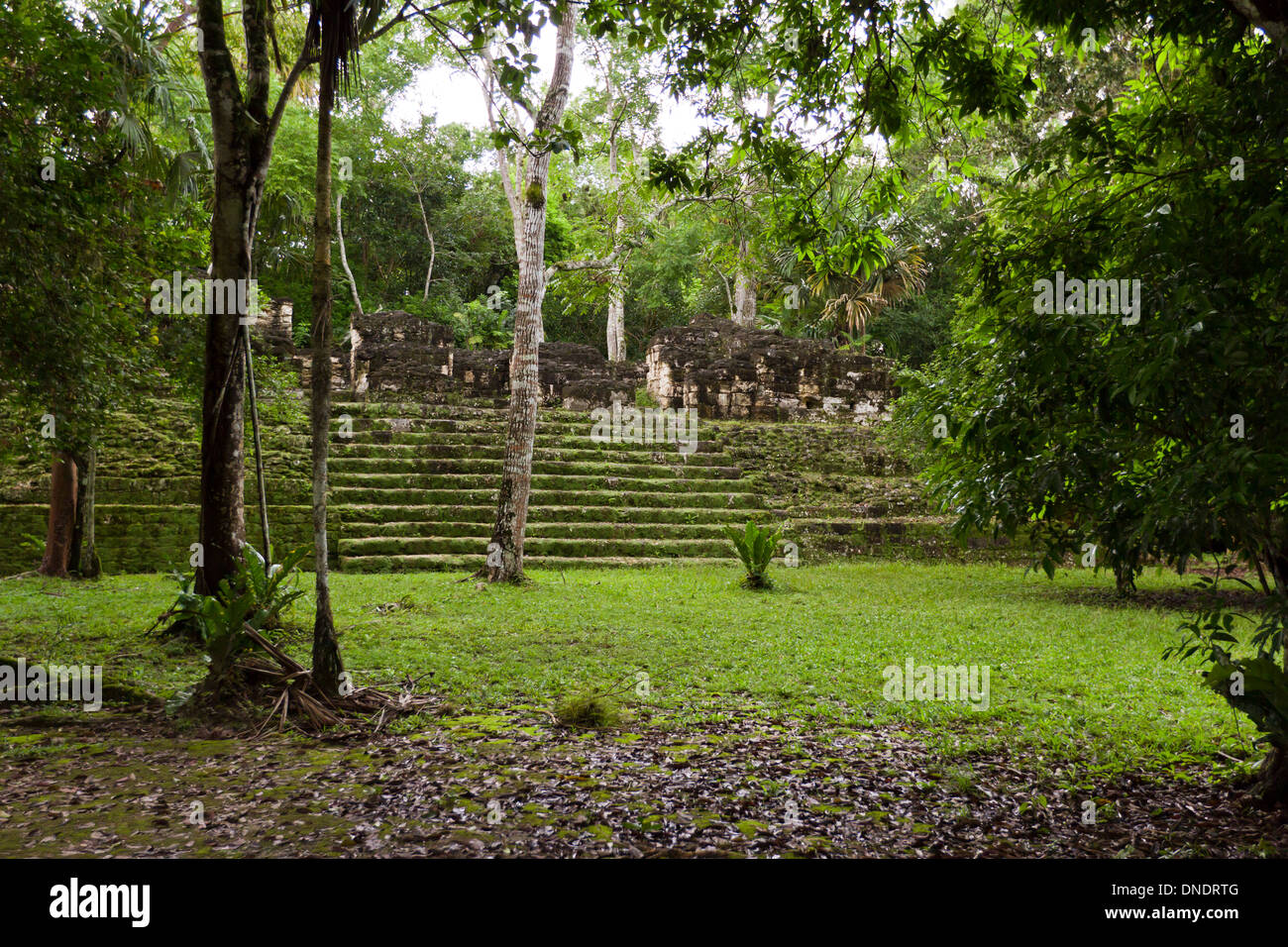 Ancient Mayan ruins in Tikal Guatemala half covered and underground ...
