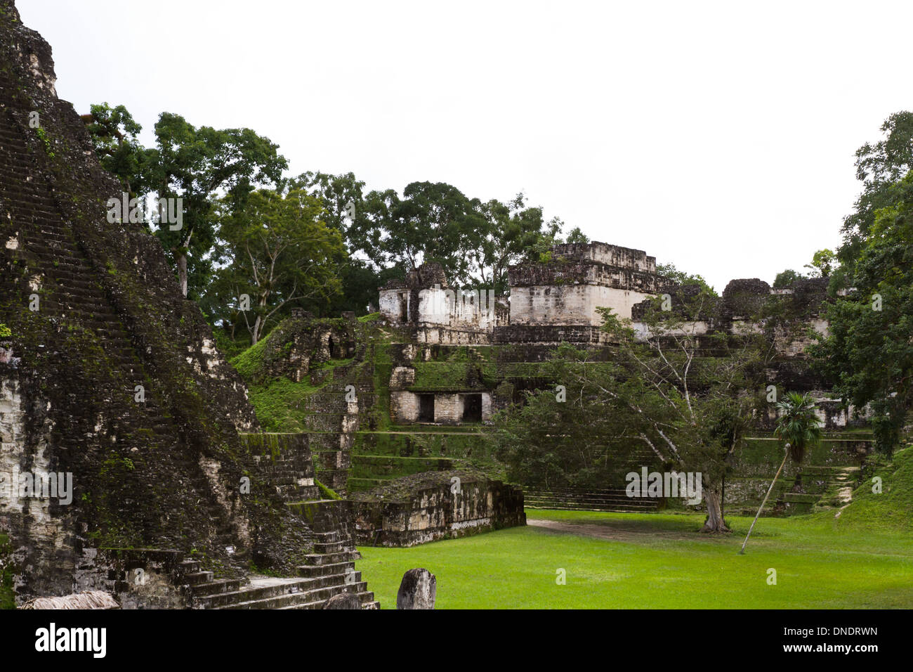 Ancient Mayan ruins in Tikal Guatemala half covered and underground ...