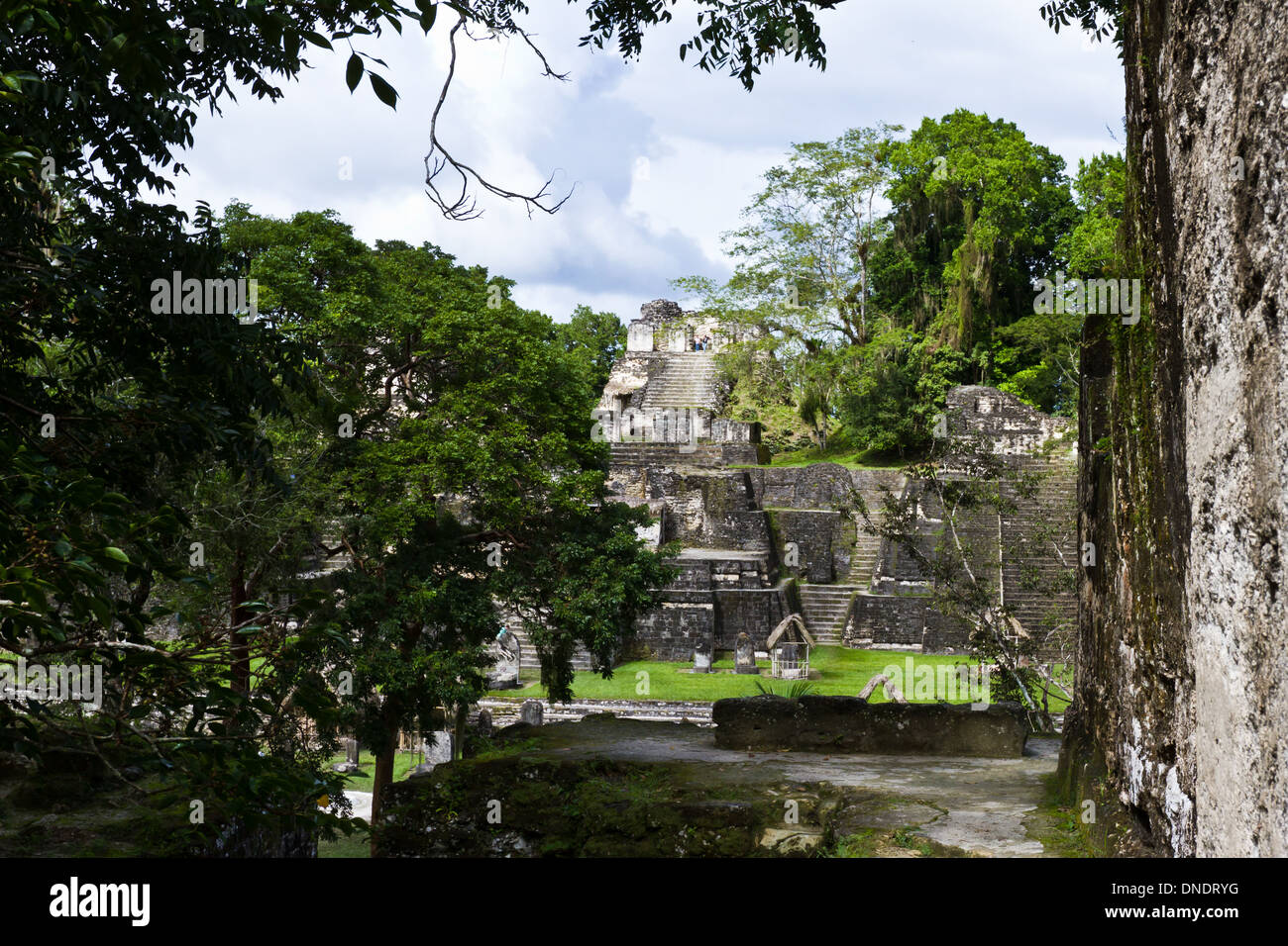 Ancient Mayan ruins in Tikal Guatemala half covered and underground ...