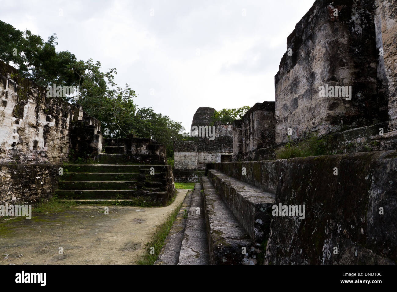 Ancient Mayan ruins in Tikal Guatemala half covered and underground ...