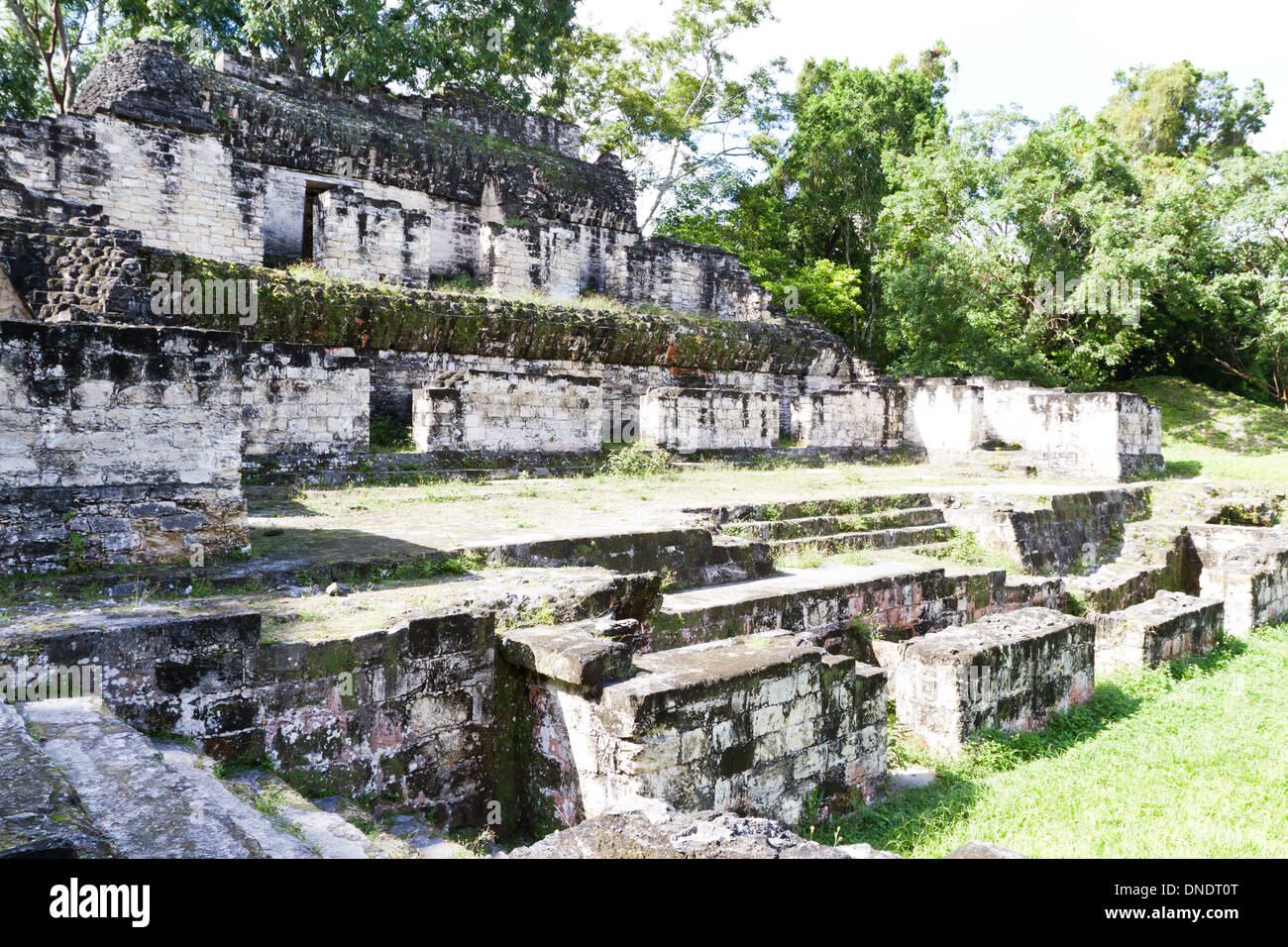 Ancient Mayan ruins in Tikal Guatemala half covered and underground ...