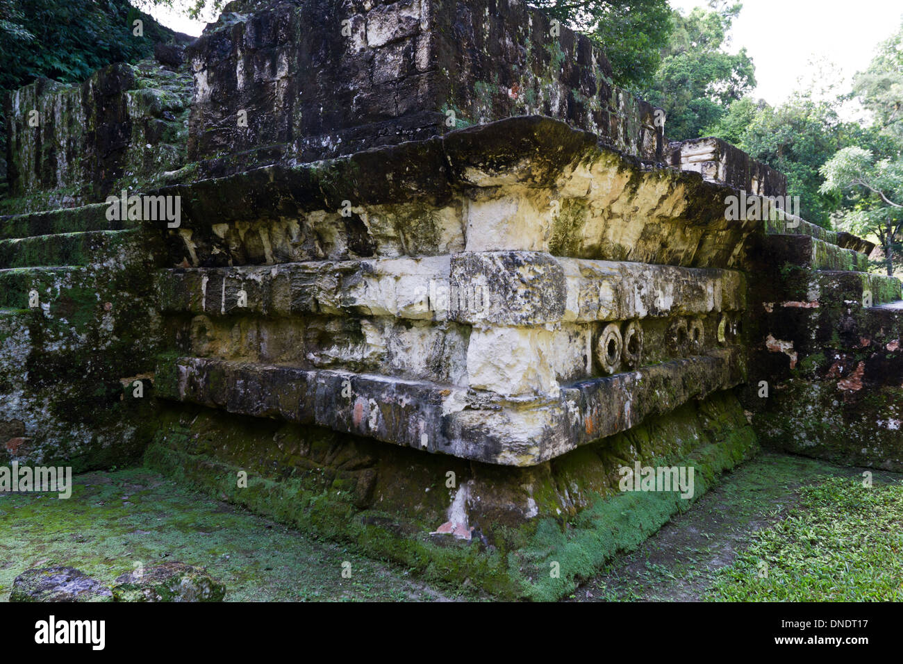 Ancient Mayan ruins in Tikal Guatemala half covered and underground ...