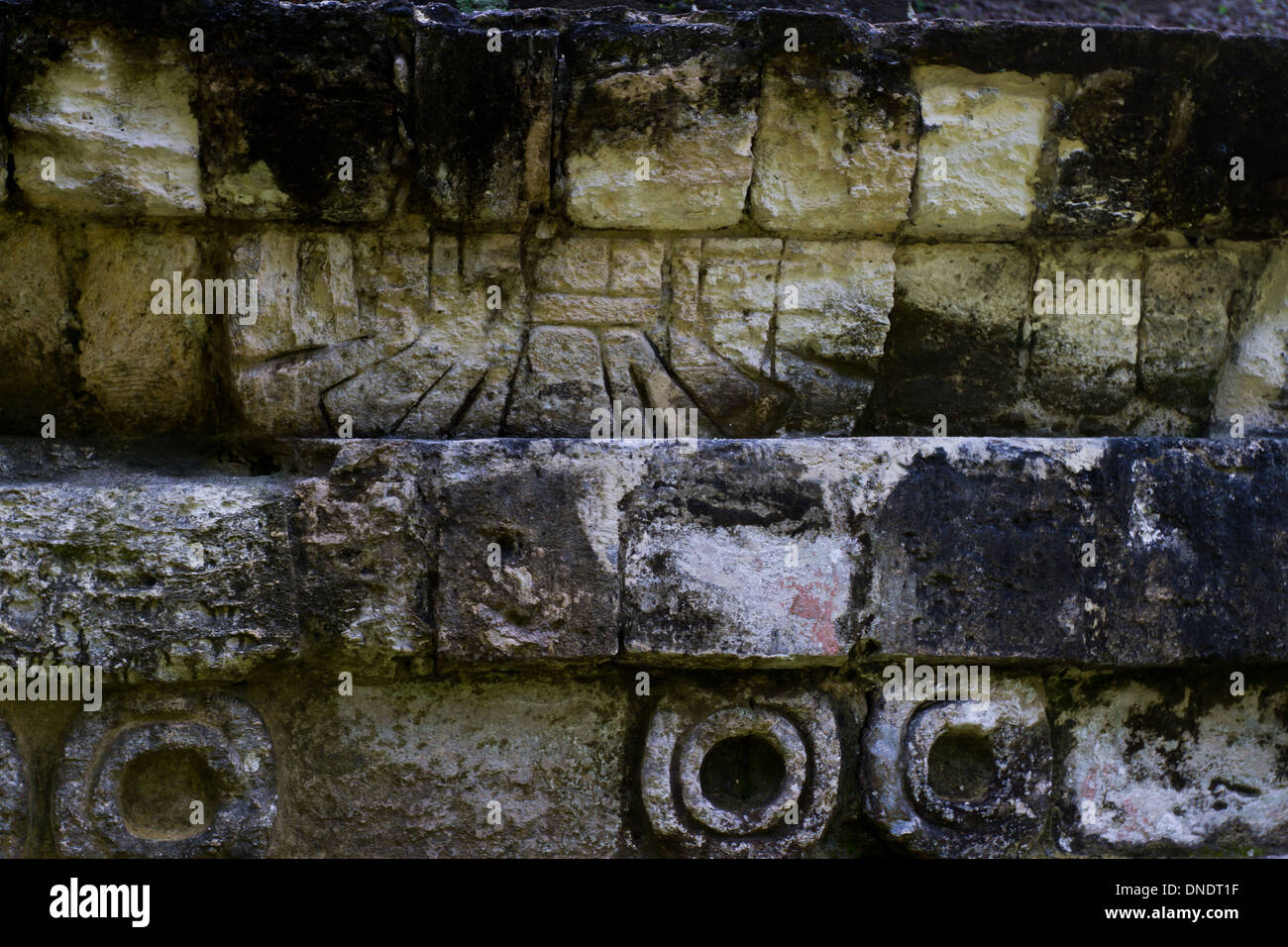 Ancient Mayan ruins in Tikal Guatemala half covered and underground ...
