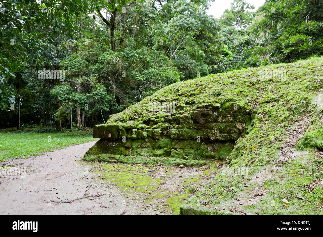 Ancient temple moss covered ruins hi-res stock photography and images ...