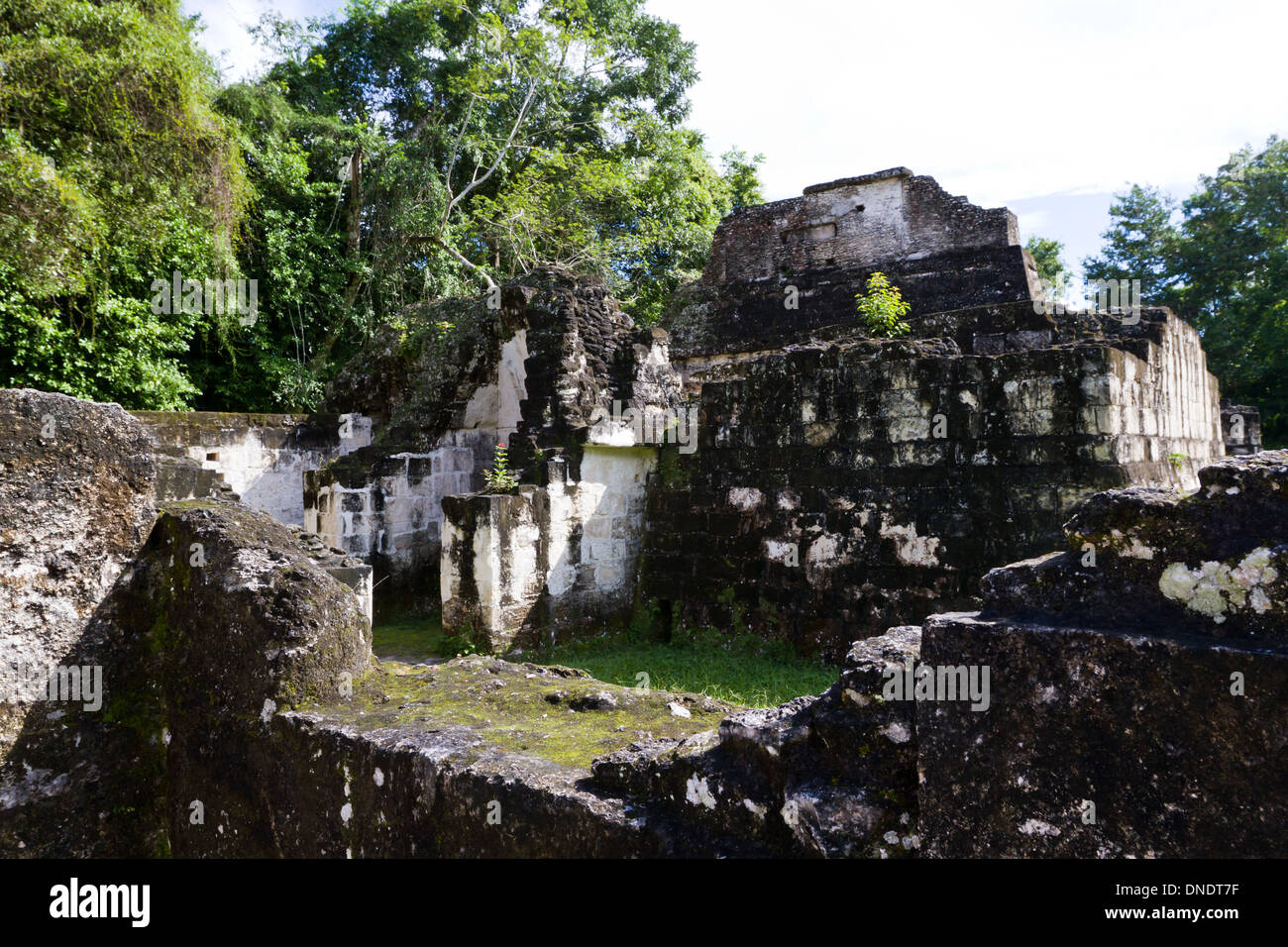 Ancient Mayan ruins in Tikal Guatemala half covered and underground ...